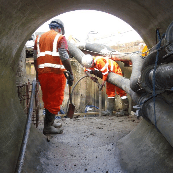 Portfolio Archive - Robert Nicholas